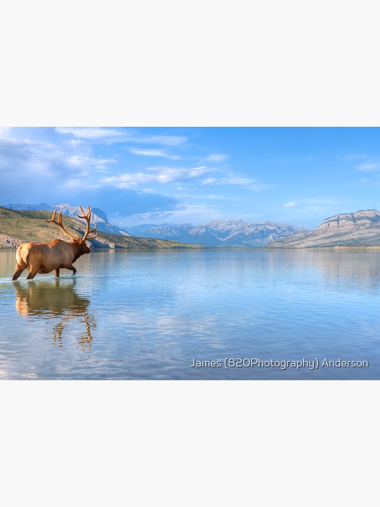 "The Great Wide Open" Sticker for Sale by JamesA1 | Redbubble