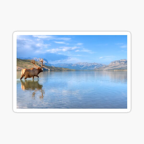 "The Great Wide Open" Sticker for Sale by JamesA1 | Redbubble