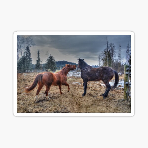 "Biting Remark" Sticker for Sale by RavenPrints | Redbubble