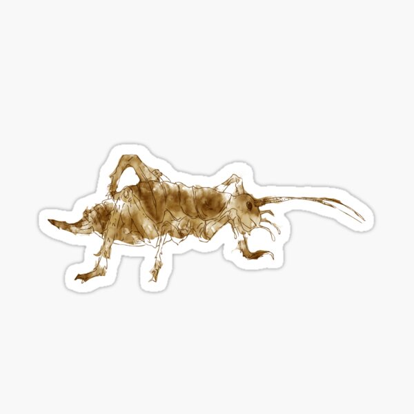 "Weta" Sticker for Sale by erdbaer | Redbubble