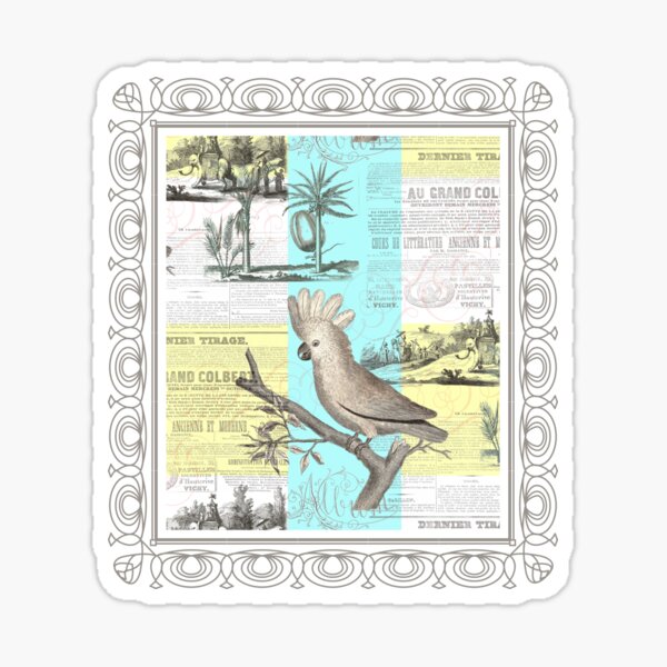 "The Cockatoo's Colonial Dream" Sticker for Sale by AntiqueImages ...