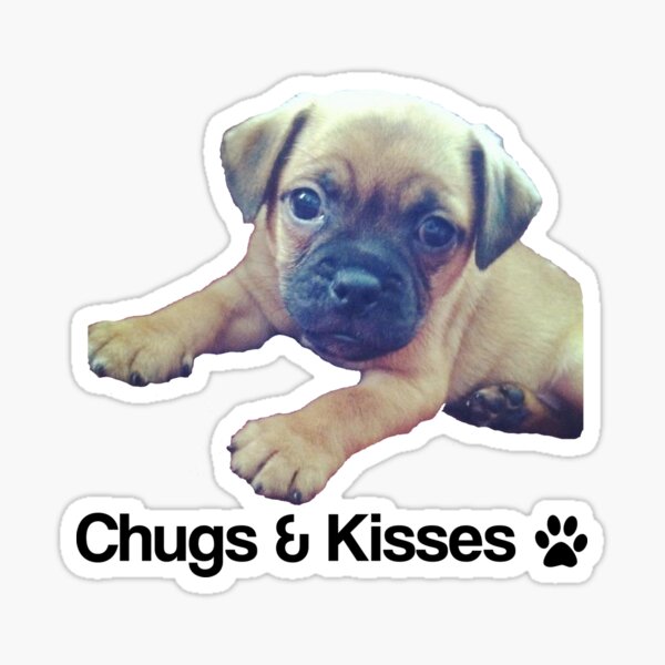 "Chugs & Kisses" Sticker for Sale by gemzi-ox | Redbubble