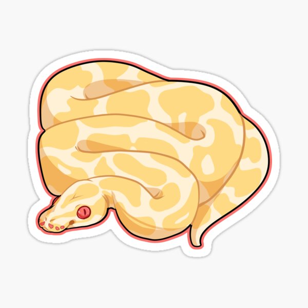 "Albino Ball Python" Sticker by cargorabbit | Redbubble