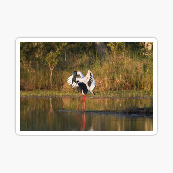 "Come To Daddy" Sticker for Sale by byronbackyard | Redbubble