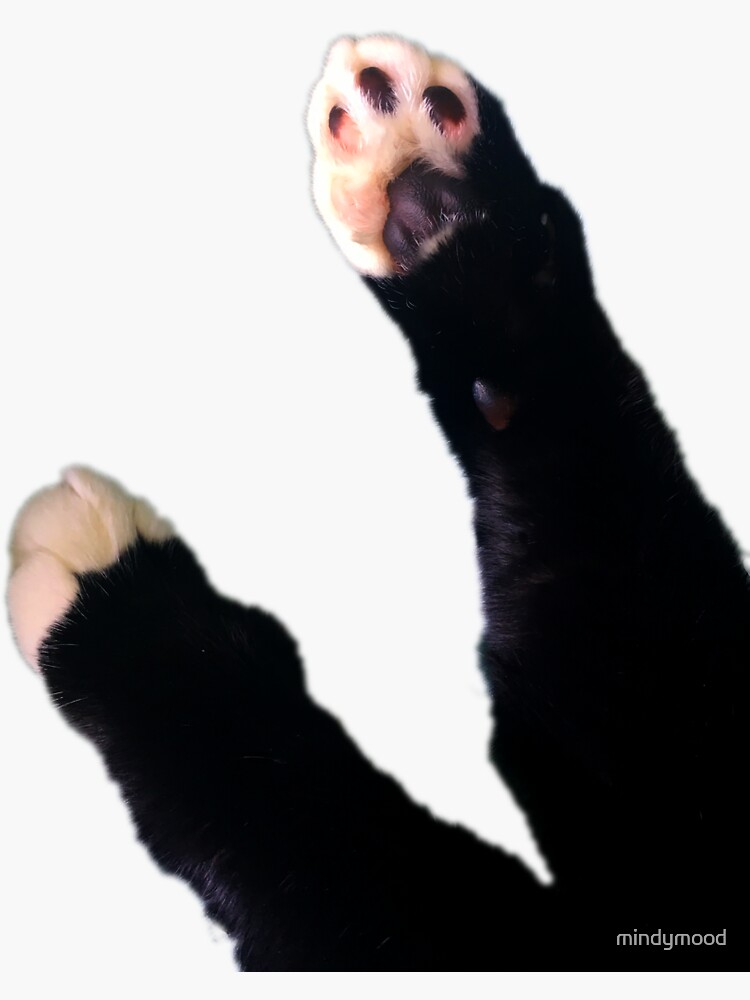 "Pink & Grey Toe Beans" Sticker for Sale by mindymood | Redbubble