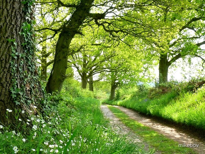 "A Green Way" by mikebov | Redbubble