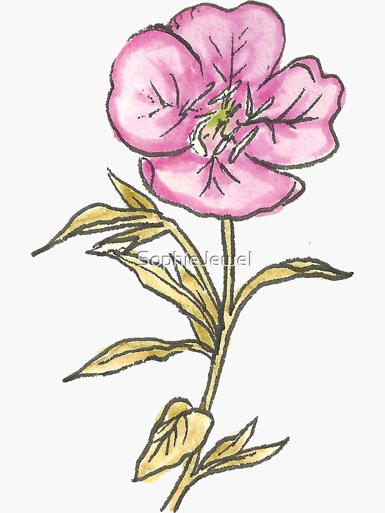 "Primrose" Sticker by SophieJewel | Redbubble