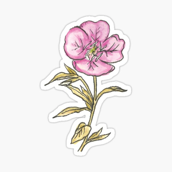 "Primrose" Sticker by SophieJewel | Redbubble