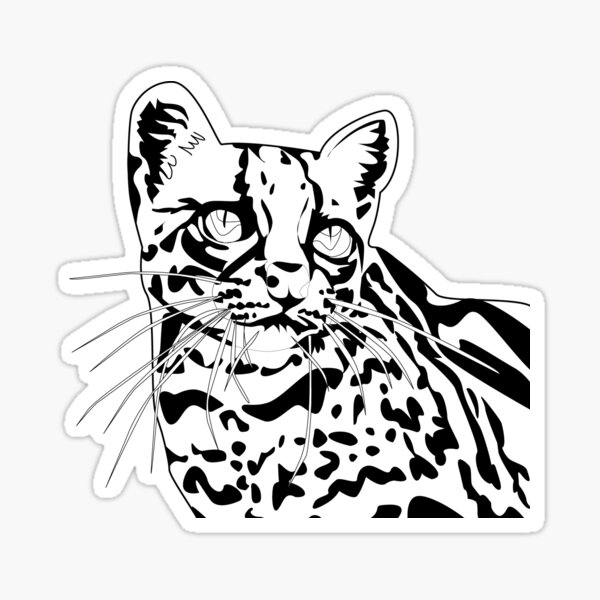"The Elusive Ocelot- No Background" Sticker by crickmonster | Redbubble