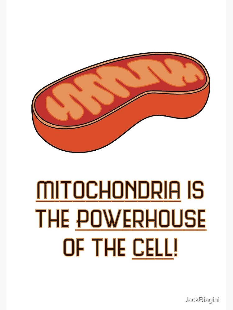 "Mitochondria is the Powerhouse of the Cell" Spiral Notebook by ...