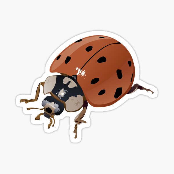 "Lady Bug" Sticker by befehr | Redbubble