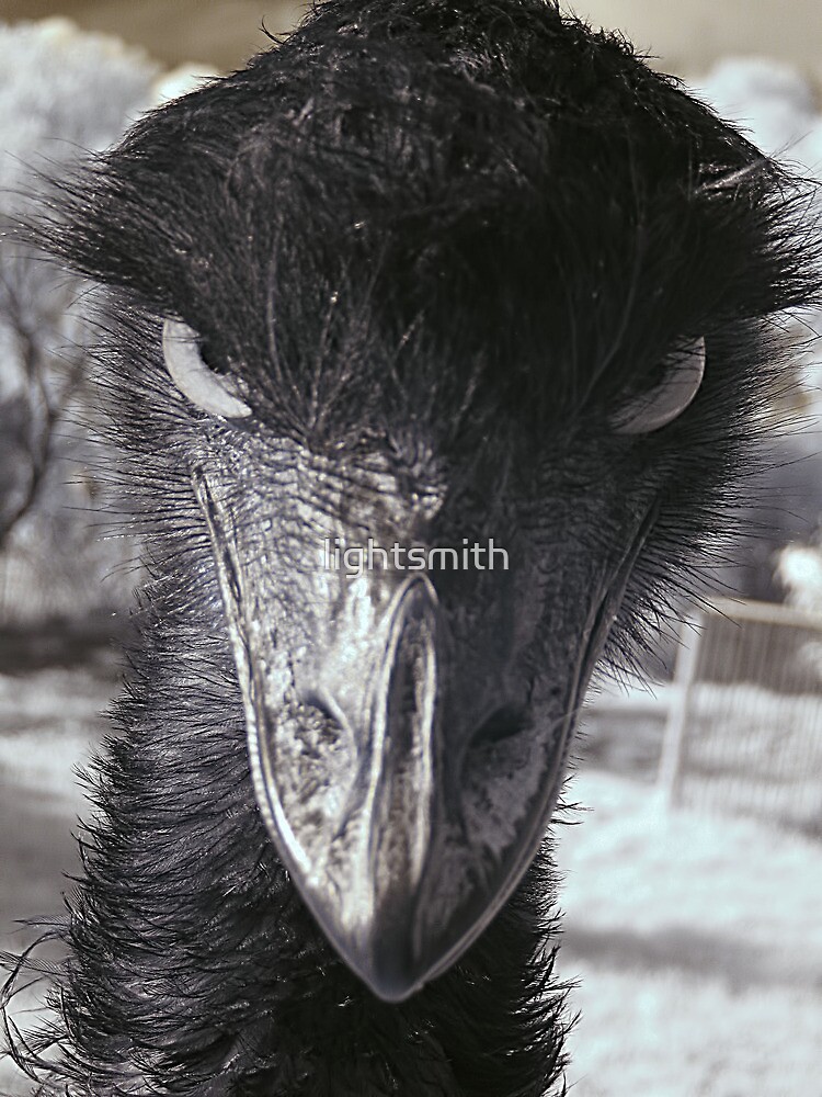 "One BAD bird!" by lightsmith | Redbubble