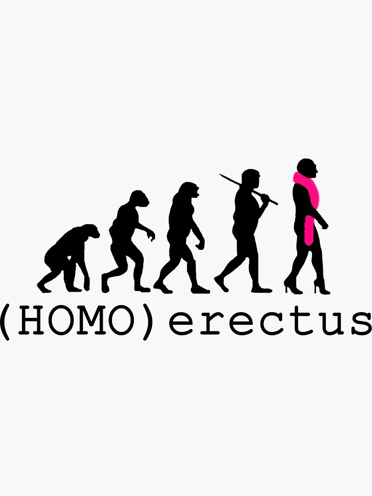 "(HOMO) erectus" Sticker by dkallman | Redbubble