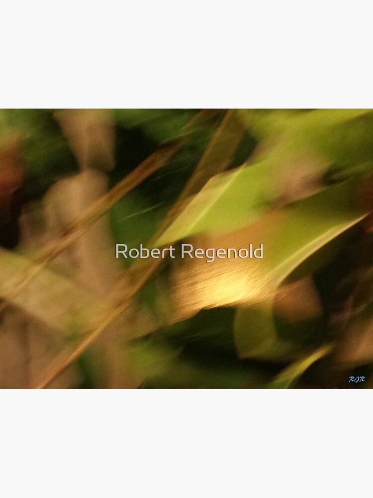 ""A Hint Of Light"" Sticker for Sale by Dloneger | Redbubble