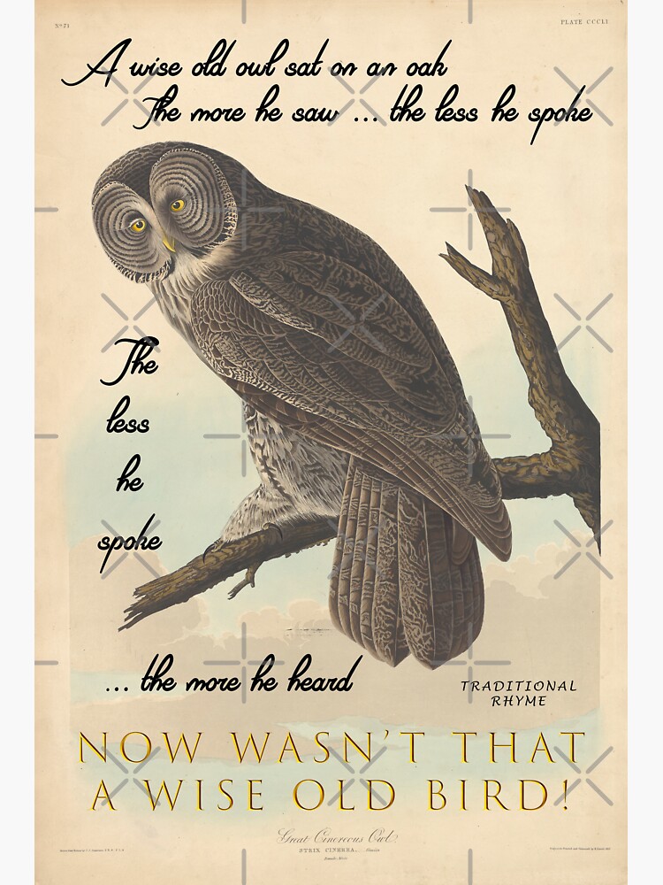 Owl Wise Quotes Owl Wisdom Quotes