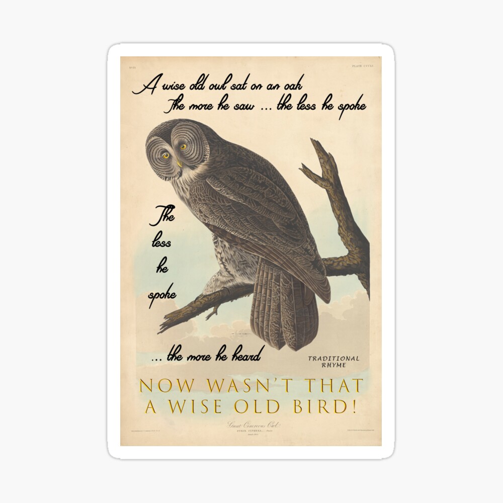 Wise Bird Quotes Runaway Bunny Print, Bird Nursery Print, Watercolor