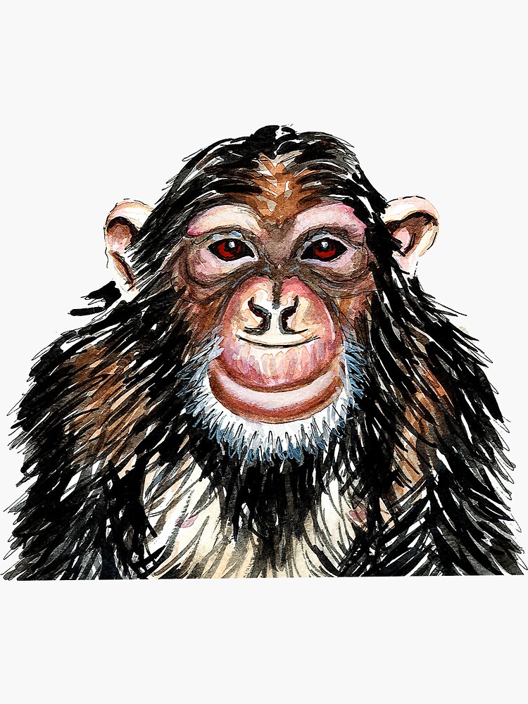 "Chimp" Sticker for Sale by Bridget Davidson | Redbubble