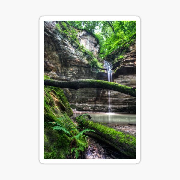 "Land of Moss" Sticker for Sale by Bykowski | Redbubble