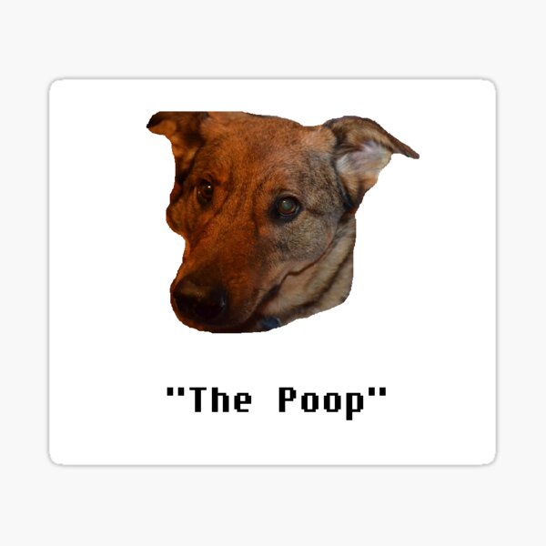 Dog Poop Stickers | Redbubble