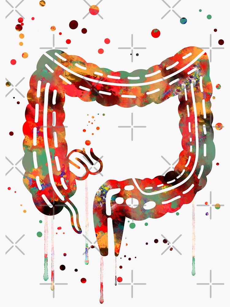 Pegatina «Tracto gastrointestinal inferior, sistema digestivo estómago ...