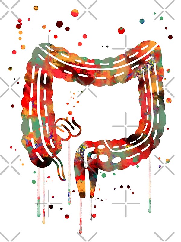 "Lower gastrointestinal tract, digestive system stomach, colon" by ...