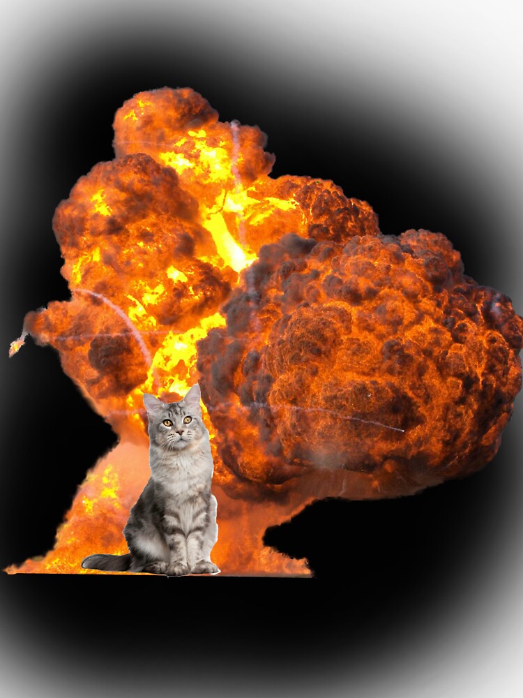 "Explosion Cat" Sticker for Sale by EM88BATMAN | Redbubble