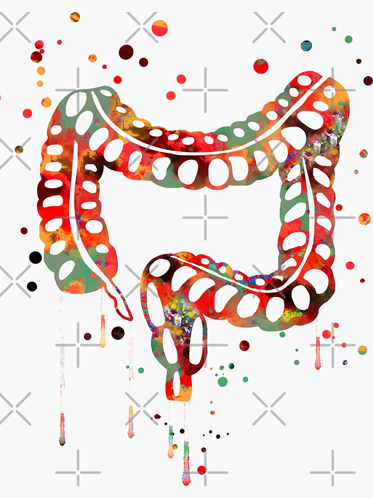 "Lower gastrointestinal tract, digestive system stomach, colon" Sticker ...