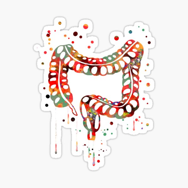 "Lower gastrointestinal tract, digestive system stomach, colon" Sticker ...