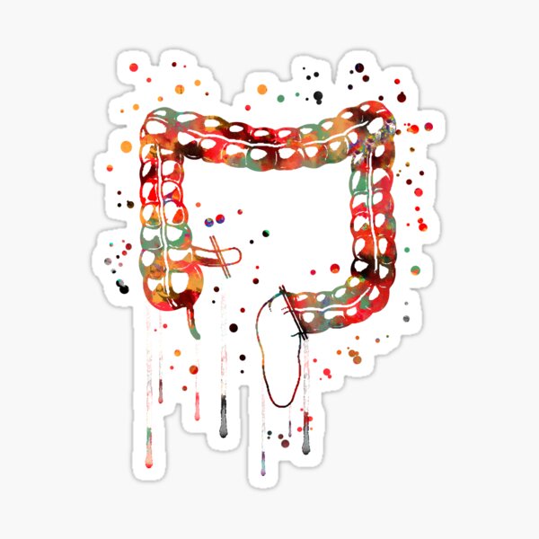 "Lower gastrointestinal tract, digestive system stomach, colon" Sticker ...
