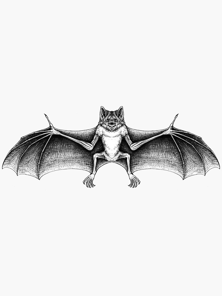 "Vampire bat " Sticker for Sale by WRELM | Redbubble