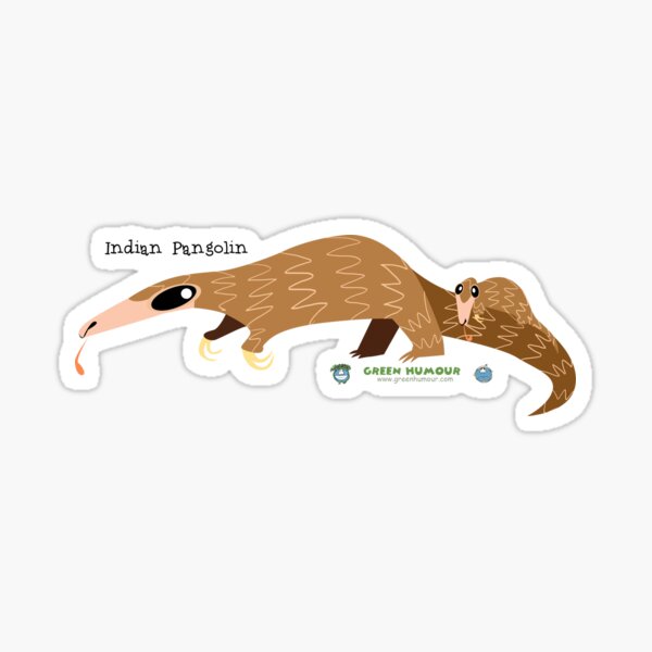 "Indian Pangolin" Sticker for Sale by rohanchak | Redbubble