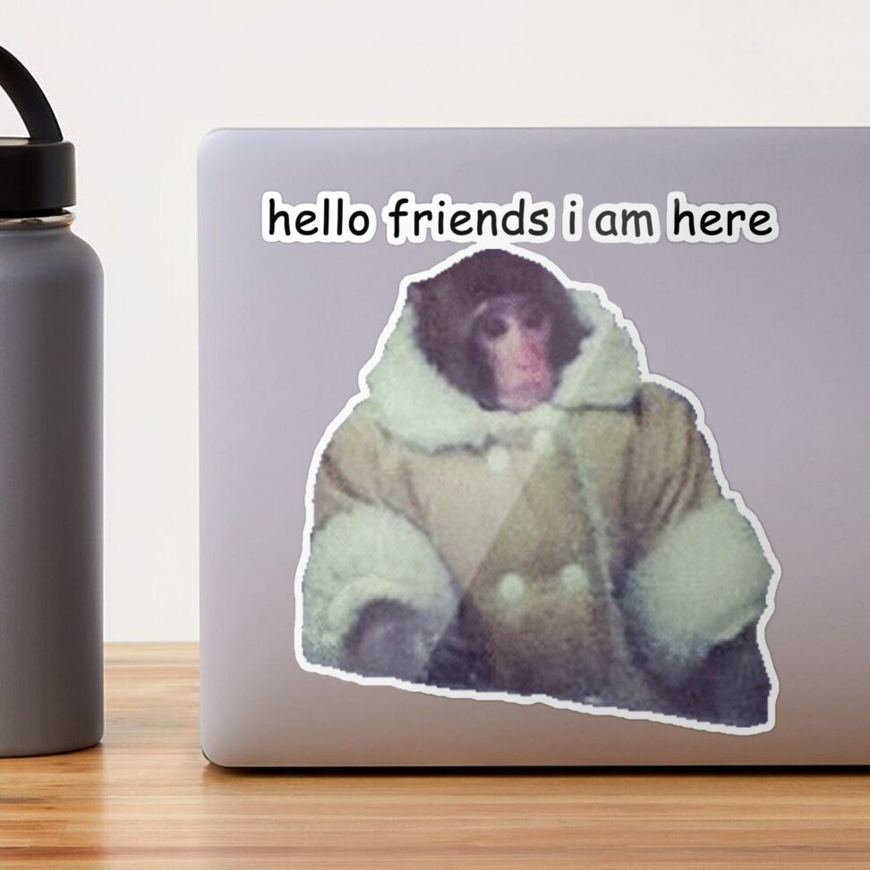 Funny Ikea Monkey Memes