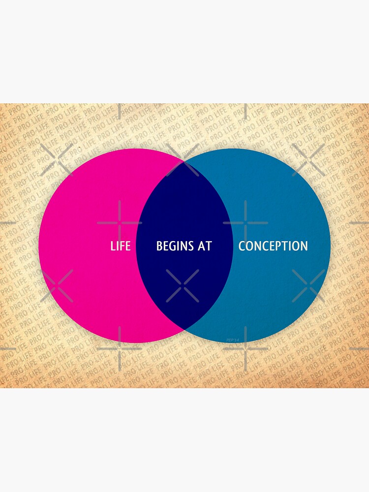 "Life Begins At Conception" Sticker for Sale by morningdance | Redbubble