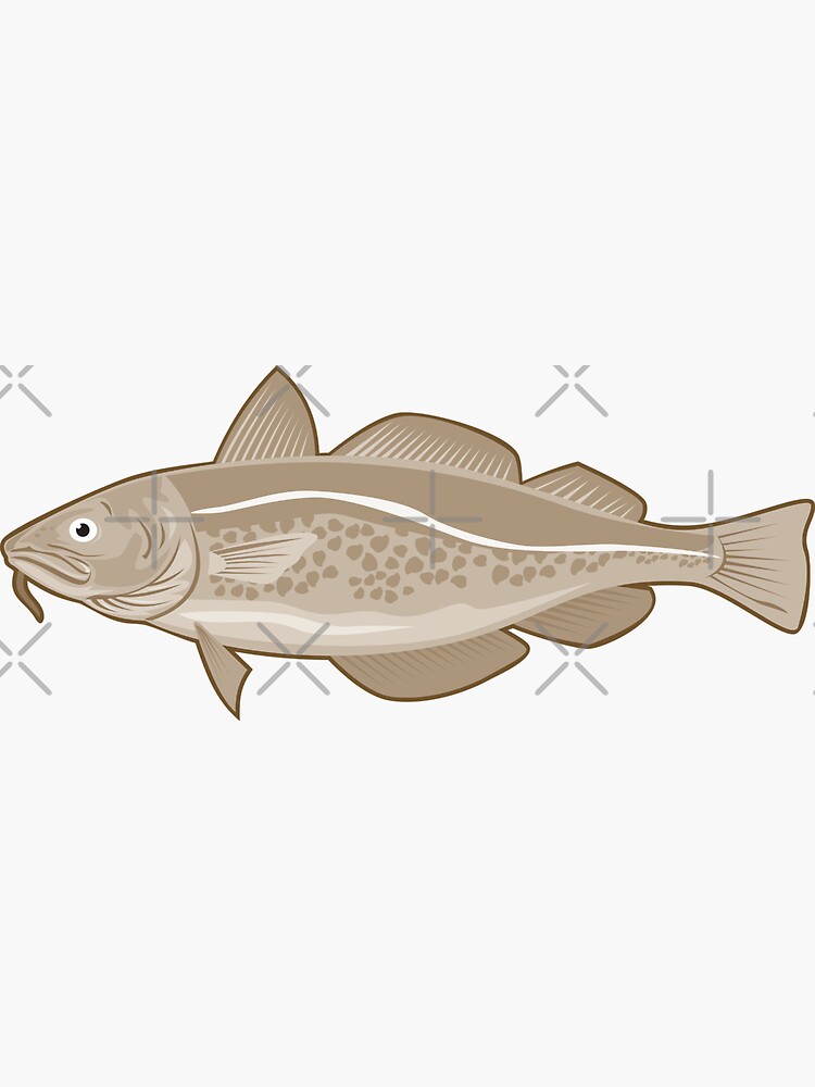 "Atlantic Codfish Retro " Sticker for Sale by patrimonio | Redbubble