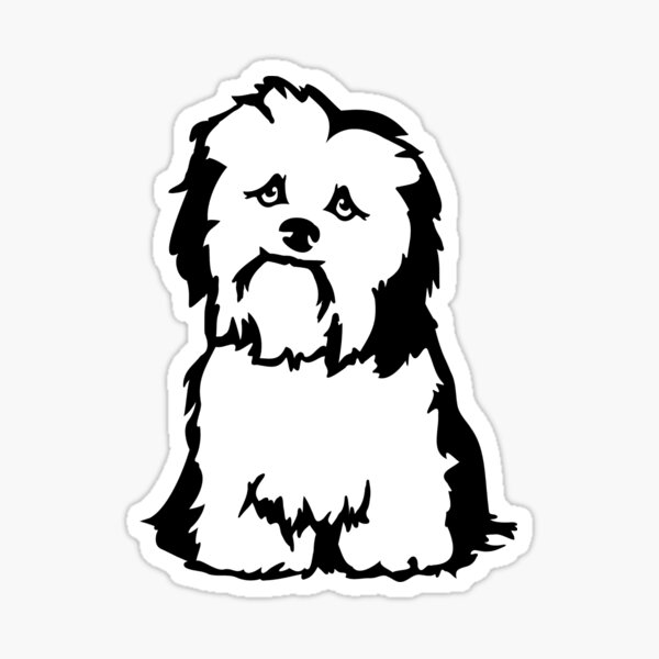 Havanese Stickers | Redbubble