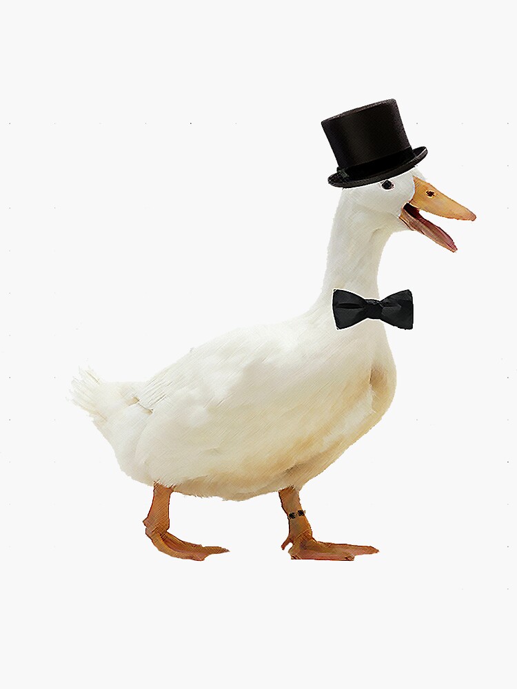 "Duck and Hat" Sticker for Sale by itzpiitz | Redbubble