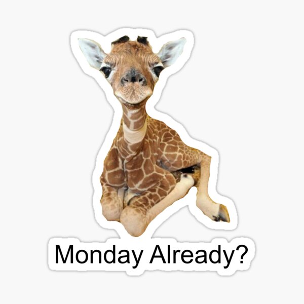 "cute baby giraffe Monday Already? tee " Sticker for Sale by tiaknight ...