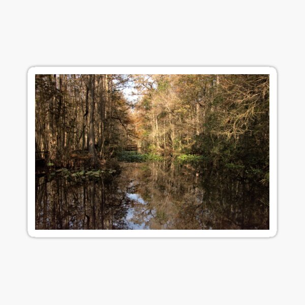 "Beauty in the Swamp" Sticker for Sale by LarryB007 | Redbubble
