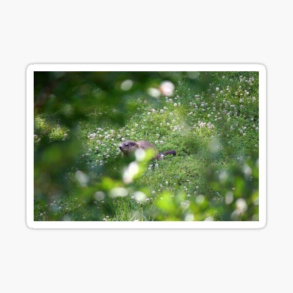 "The lovely Charlize" Sticker by WalnutHill | Redbubble