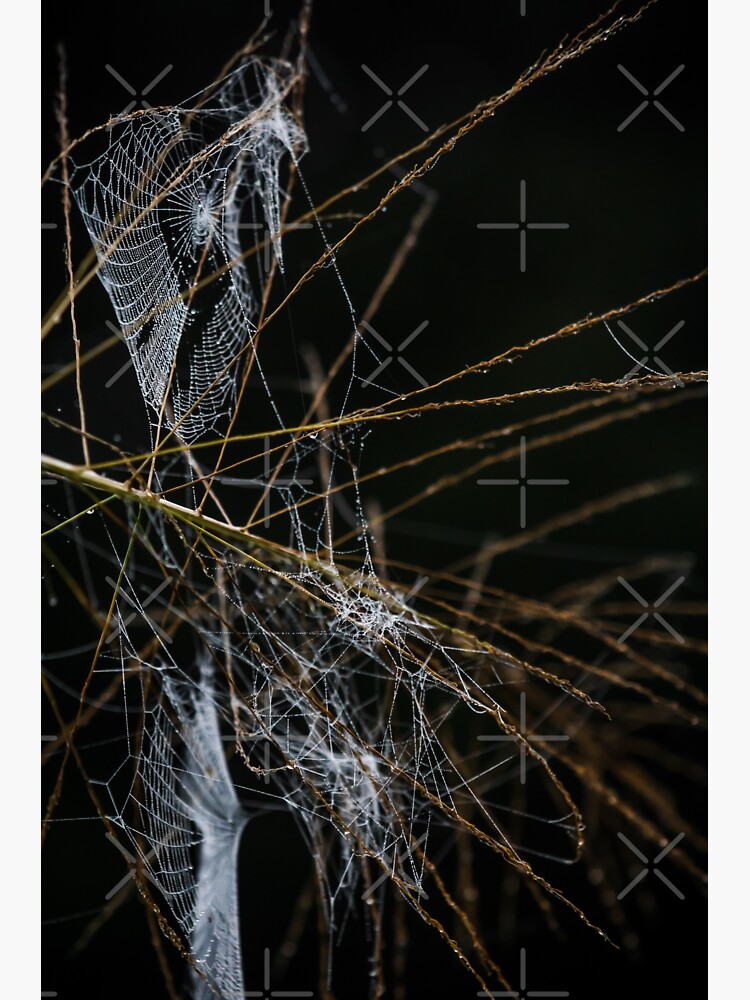 "Web Patterns" Sticker for Sale by MarioMoralesRub | Redbubble