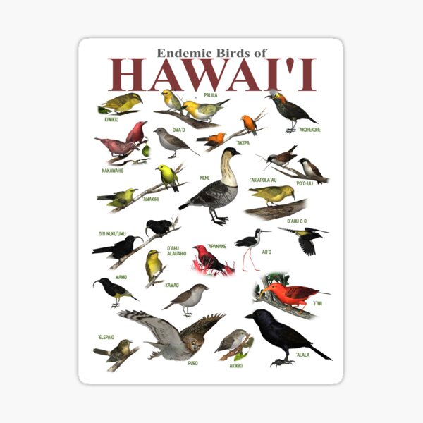 "The Endemic Birds of Hawaii" Sticker for Sale by empken | Redbubble