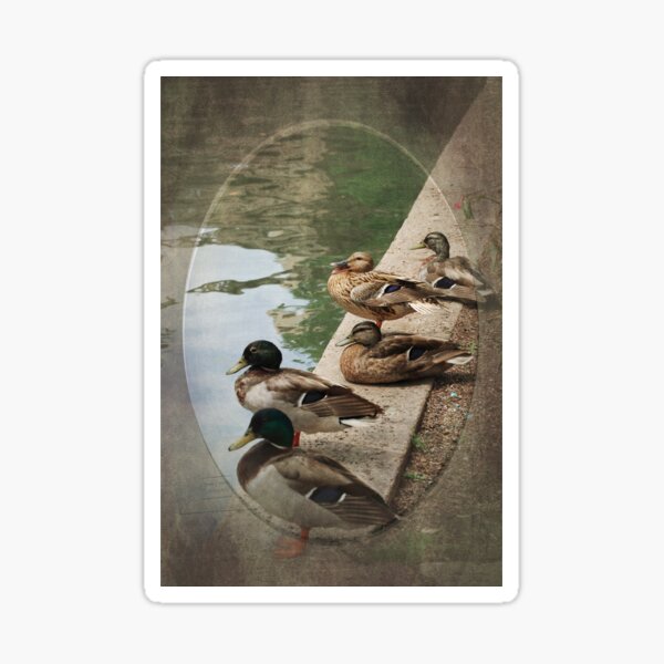 "Ready Set GO" Sticker by designingjudy | Redbubble