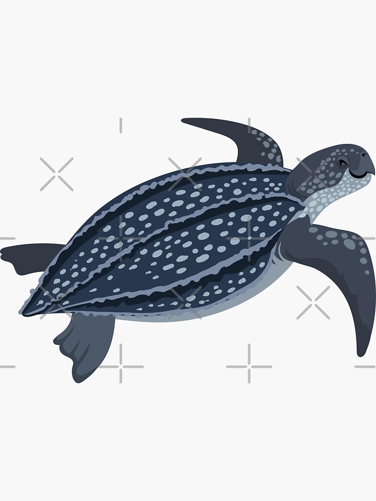 "Happy Leatherback Sea Turtle" Sticker for Sale by PepomintNarwhal ...