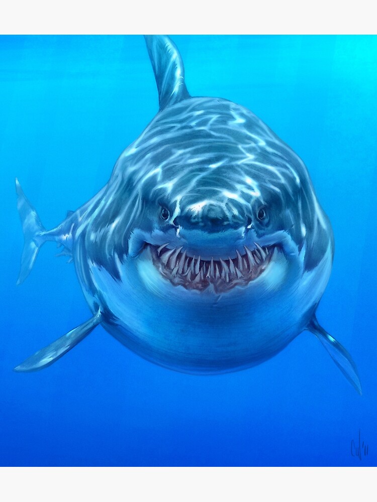 "Great White" Art Print for Sale by krisvahl | Redbubble