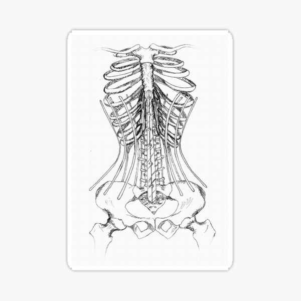 Corset Stickers | Redbubble
