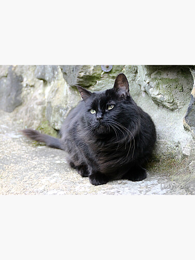 "Jess" Sticker by Ladymoose | Redbubble