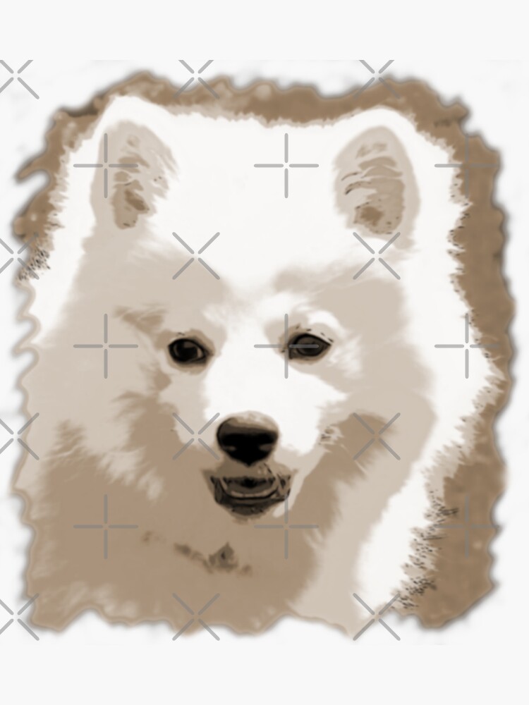 "Japanese Spitz close up" Sticker for Sale by tuneoperator | Redbubble