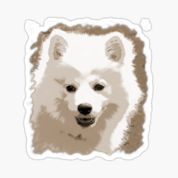 "Japanese Spitz close up" Sticker for Sale by tuneoperator | Redbubble