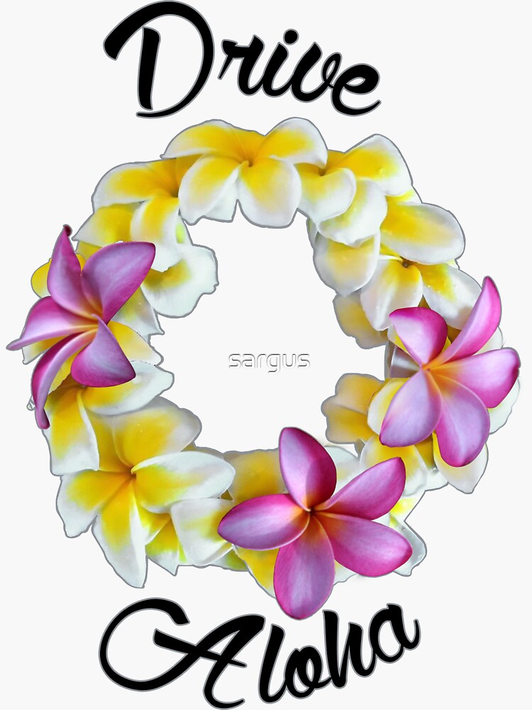 "Drive Aloha - Black Letters" Sticker for Sale by sargus | Redbubble