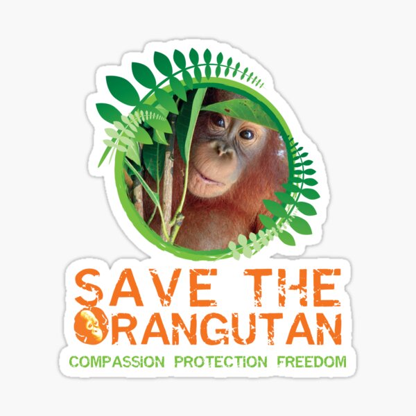 "STO Tee" Sticker for Sale by Orangutan | Redbubble